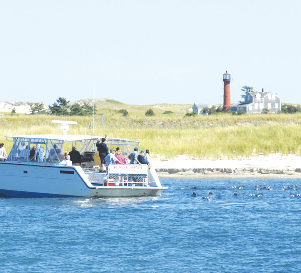 Monomoy Island Excursions | Kids on the Cape