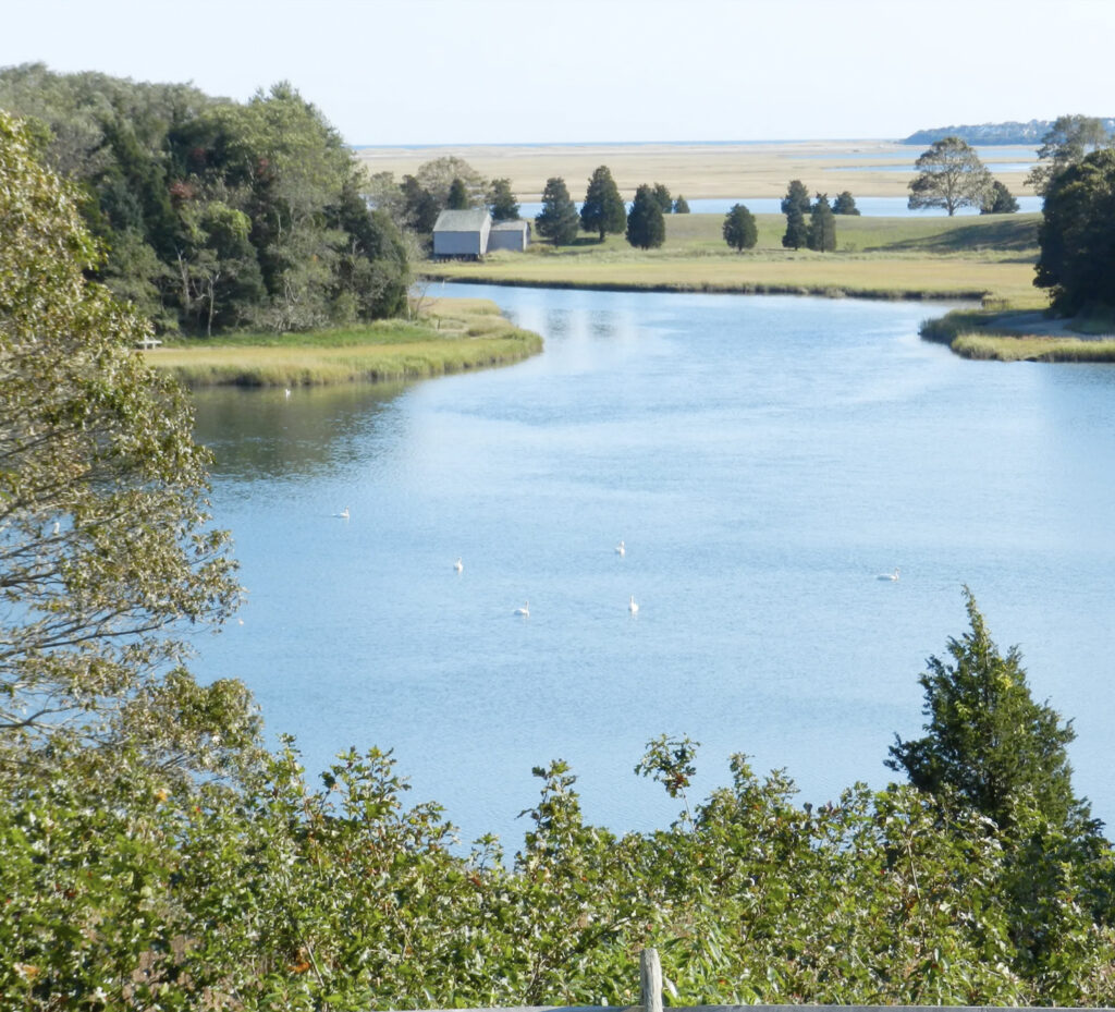 Cape Cod Pirate Adventures | Kids on the Cape