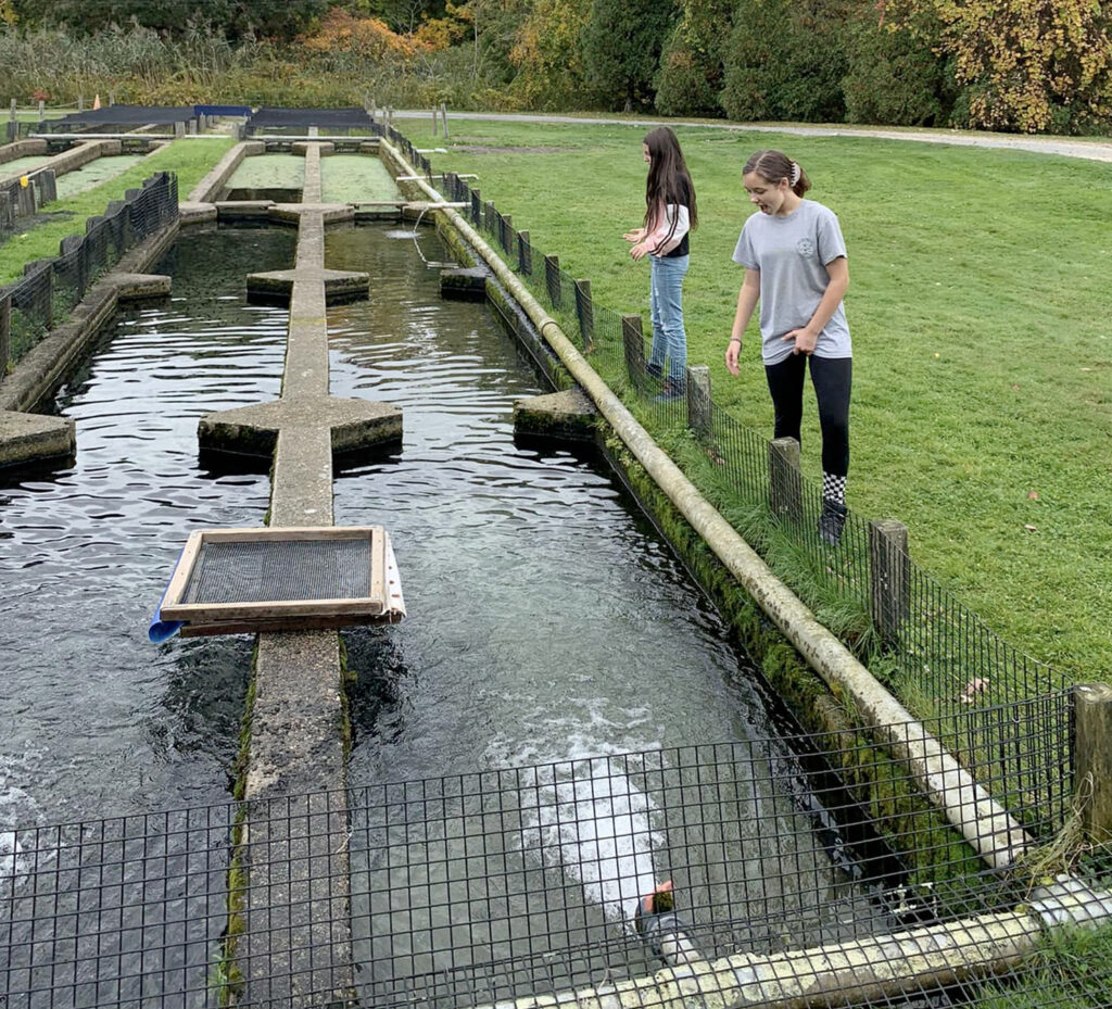Hyannis Whale Watcher Cruises | Kids on the Cape